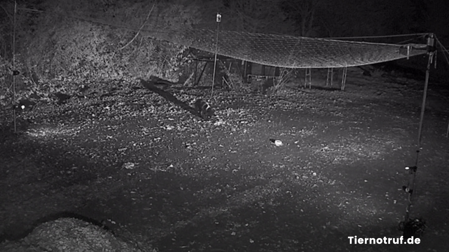 Welcome - Capture Company